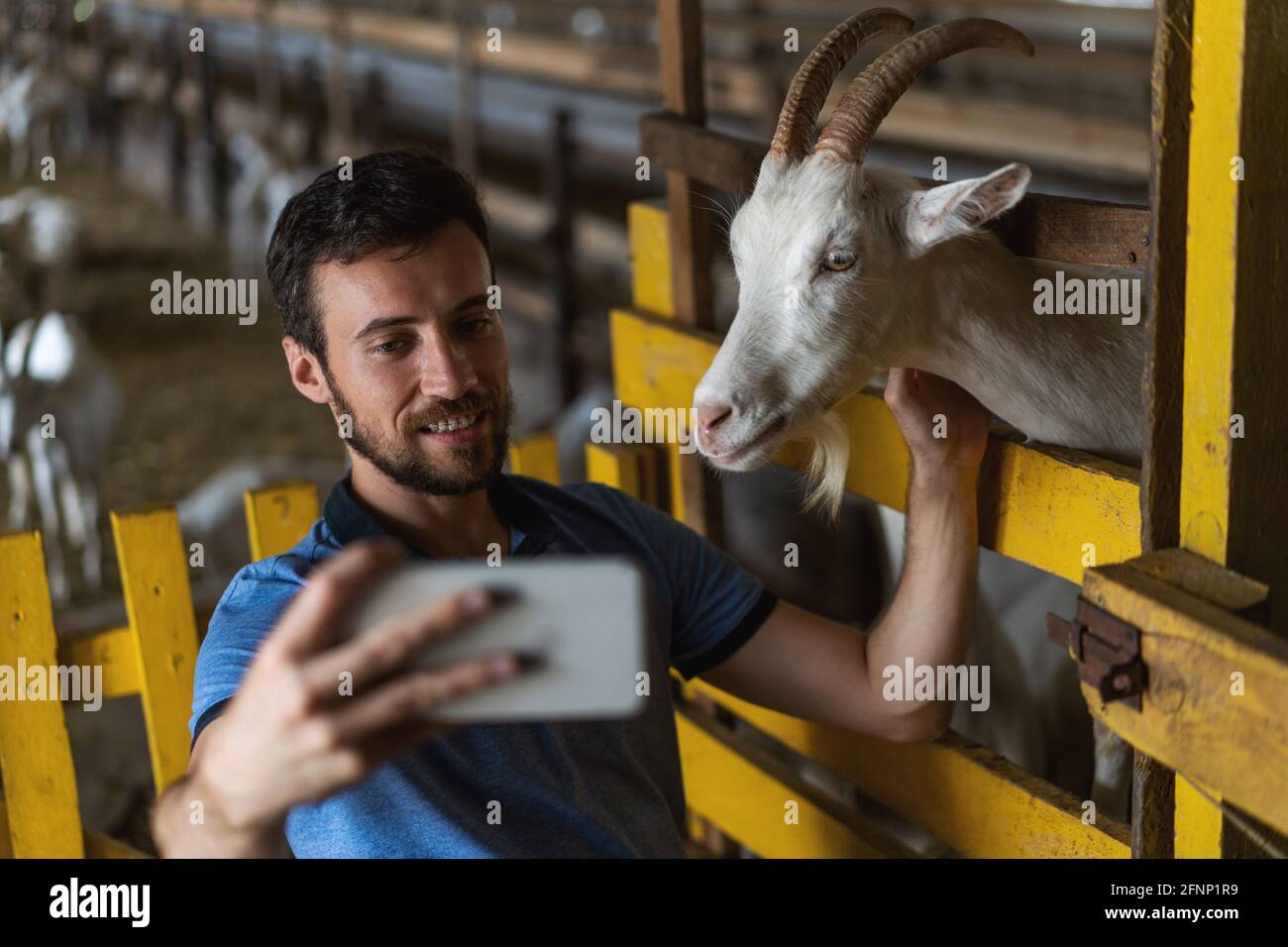 guy takes a selfie on the phone with a goat Stock Photo - Alamy