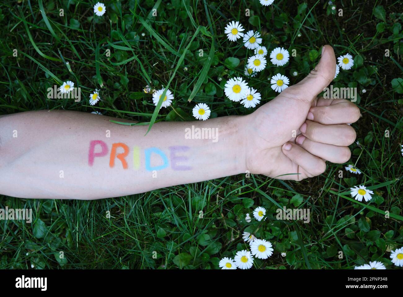 arm of a man painted with the word pride in the colors of the lgtbi ...