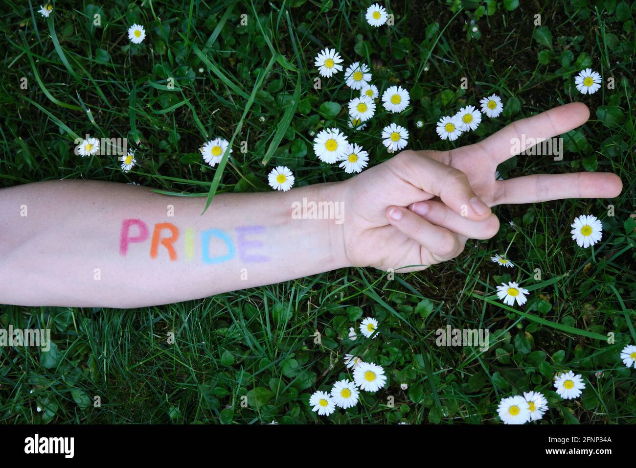 arm of a man painted with the word pride in the colors of the lgtbi ...