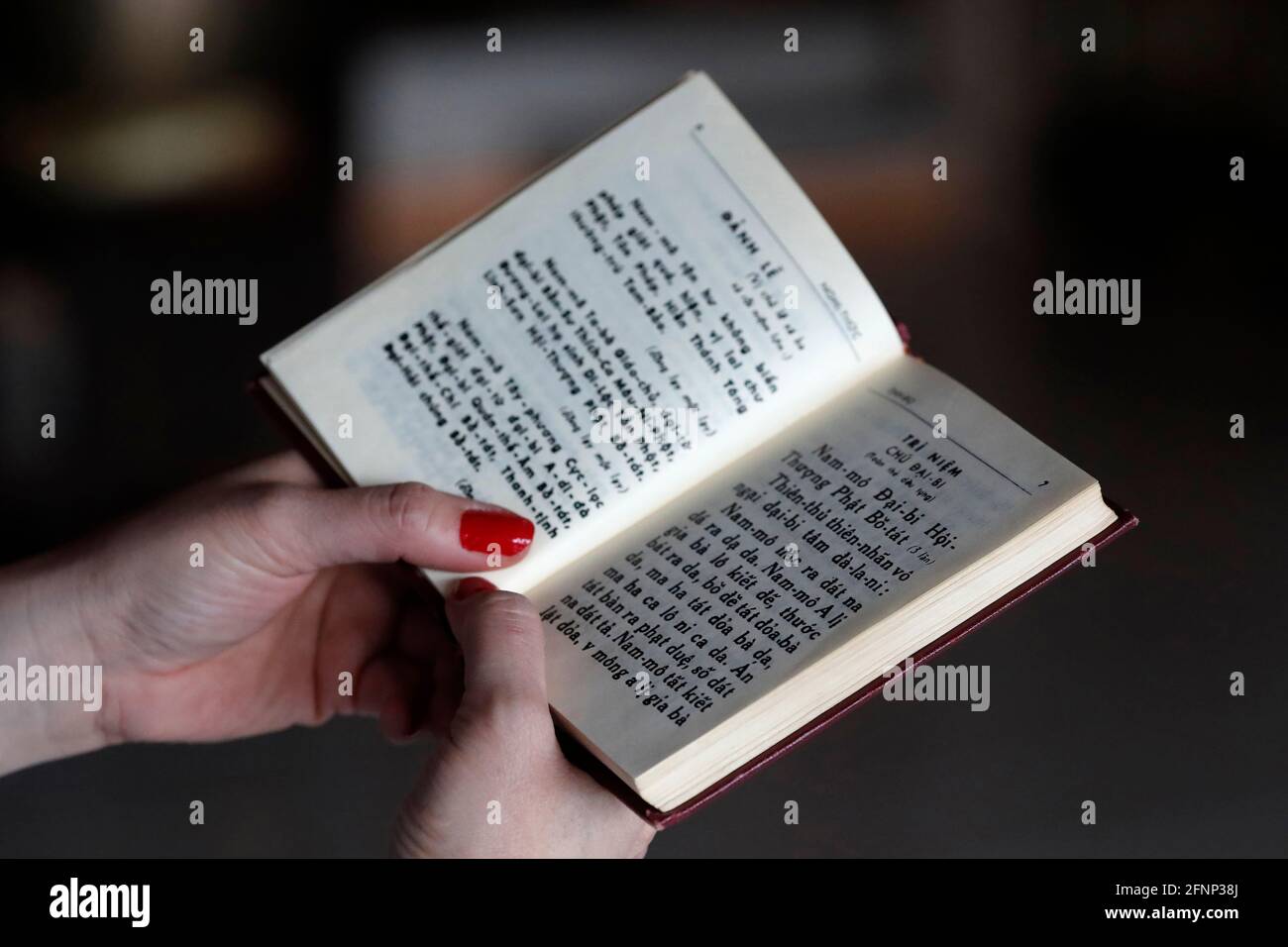 Thien Minh buddhist temple. Woman reading sacred buddhist texts. France ...