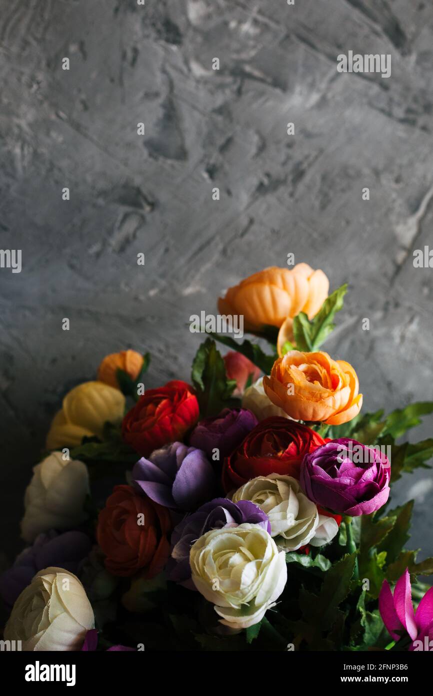 A bouquet of ranunculus flowers on a textured gray background Stock ...