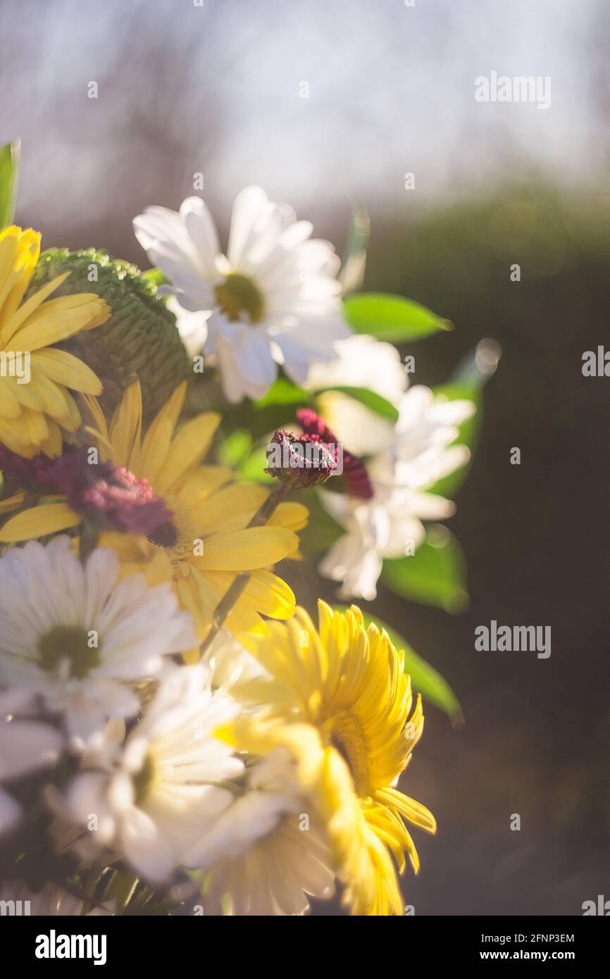 Springtime Flower Bouquet Stock Photo - Alamy