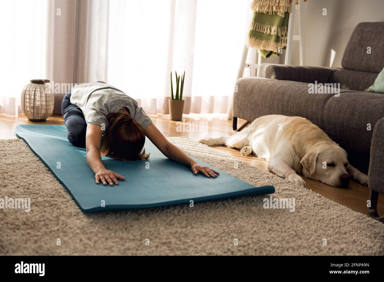 Doing exercise with her lazy dog Stock Photo - Alamy