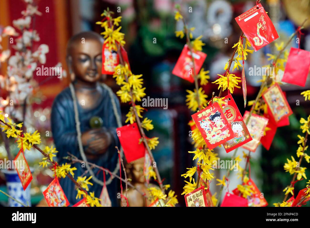 Red envelopes ( hongbao ) on yellow tree for Chinese and Vietnamese New ...