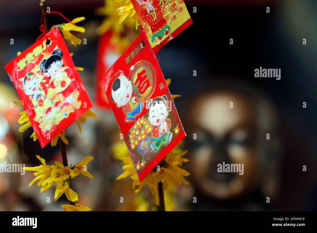 Red envelopes ( hongbao ) on yellow tree for Chinese and Vietnamese New ...