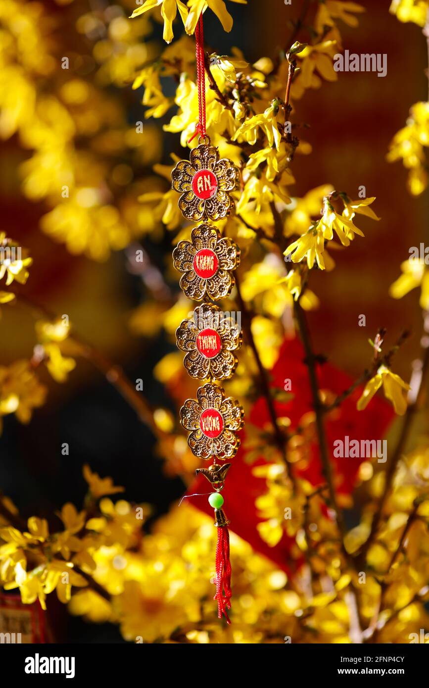 Tet decorations hi-res stock photography and images - Alamy