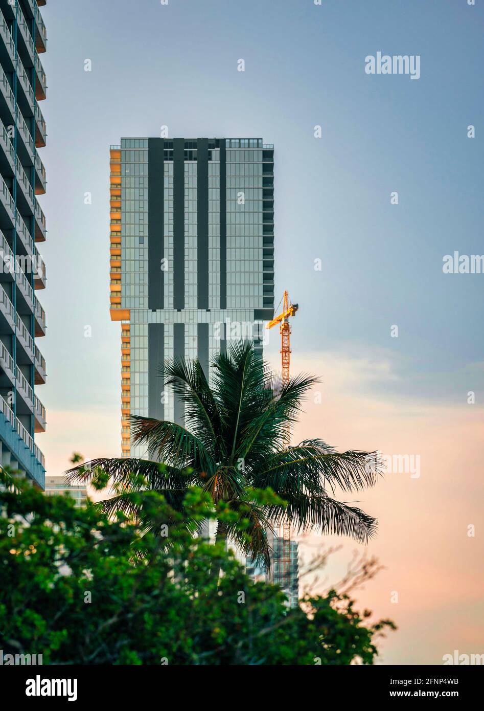 Miami florida skyscraper office building hi-res stock photography and ...