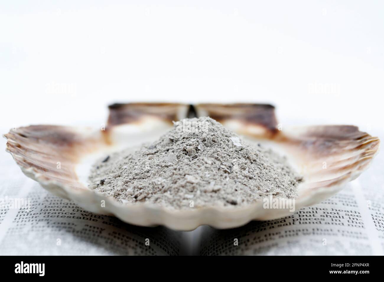 Bible and scalllop shell with ashes. Ash Wednesday. Lent season. France ...