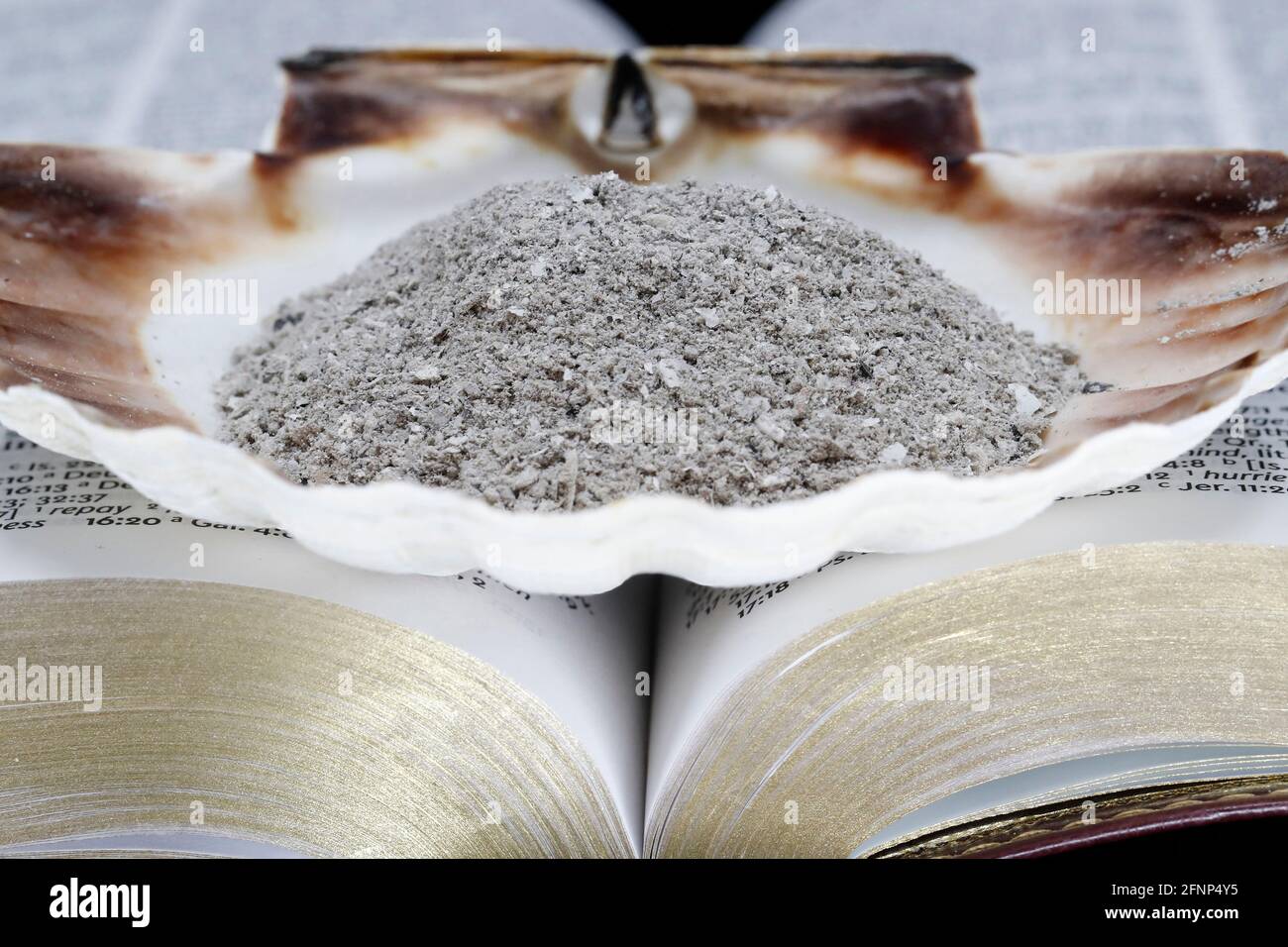 Bible and scalllop shell with ashes. Ash Wednesday. Lent season. France ...