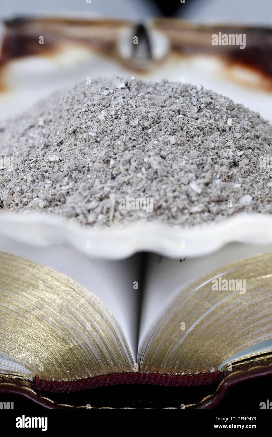 Bible and scalllop shell with ashes. Ash Wednesday. Lent season. France ...
