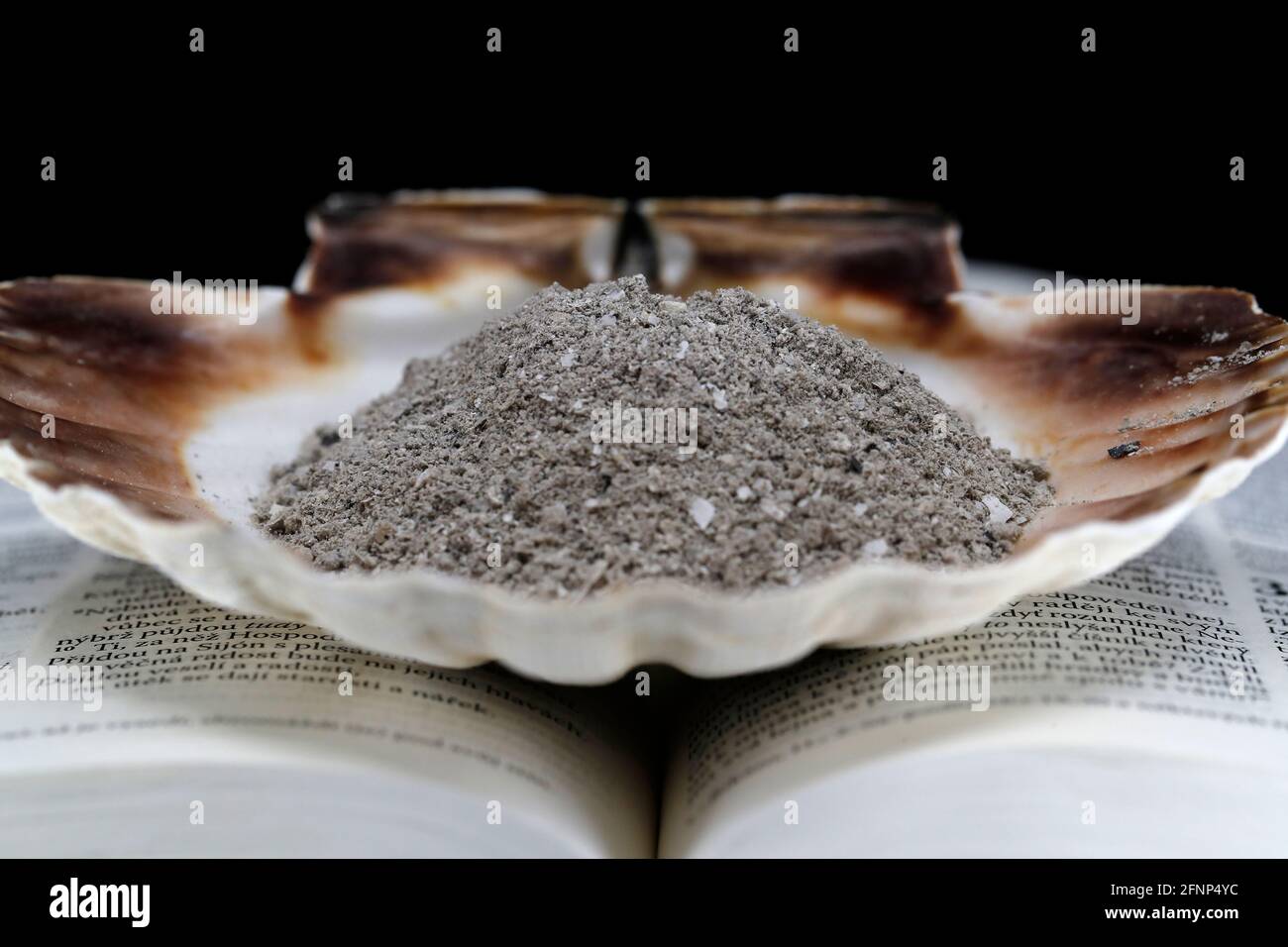 Bible and scalllop shell with ashes. Ash Wednesday. Lent season. France ...