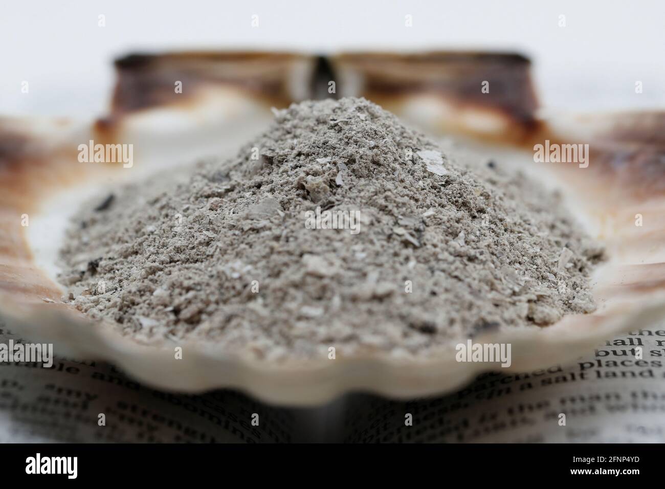 Bible and scalllop shell with ashes. Ash Wednesday. Lent season. France ...