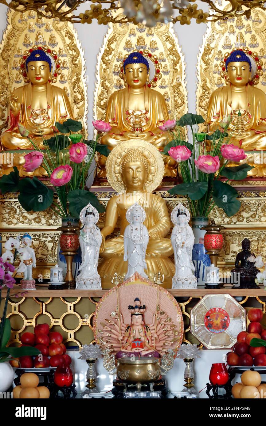 Tu Quang buddhist temple. Buddha statues on main altar. Nice. France ...