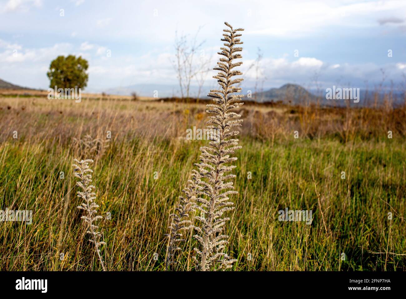 Sardinian landscape hi-res stock photography and images - Alamy