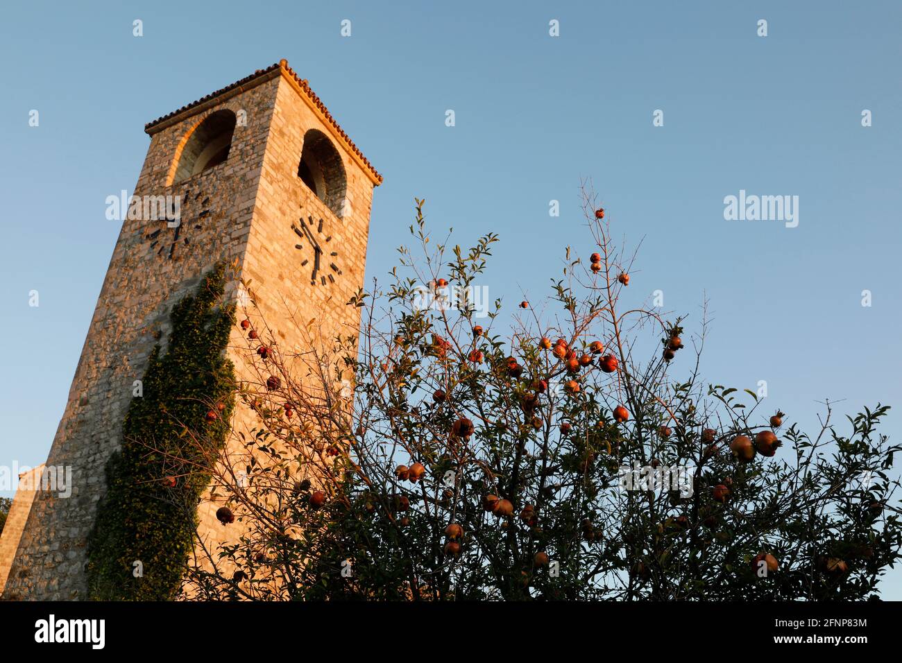 Stari Bar, the old town of Bar, Montenegro Stock Photo - Alamy