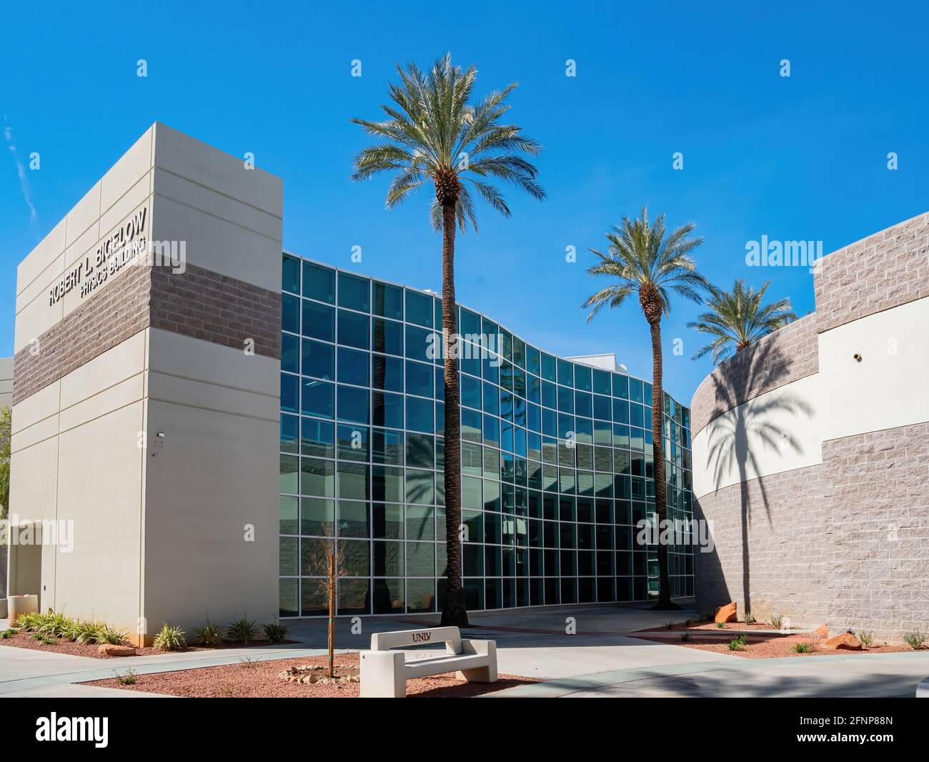 Palm tree and modern building in the campus of UNLV at Nevada Stock ...