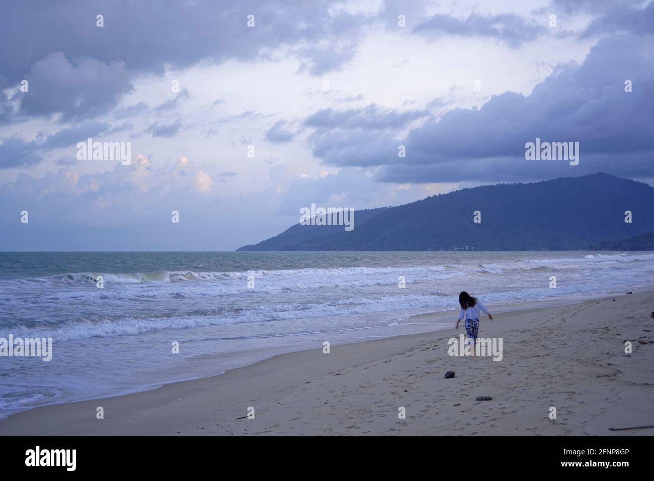 Wandering palm hi-res stock photography and images - Alamy