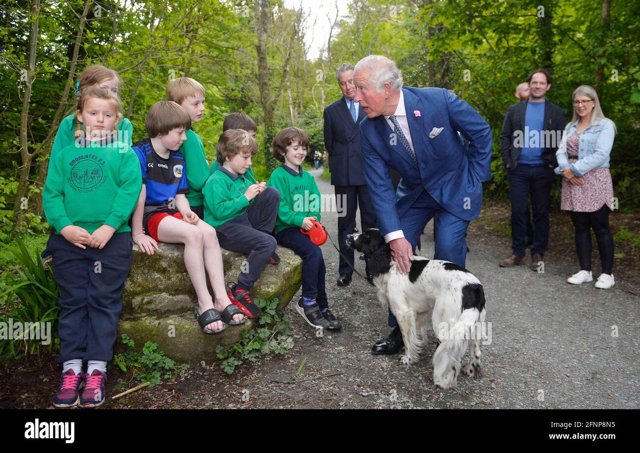 Prince charles spaniel hi-res stock photography and images - Alamy