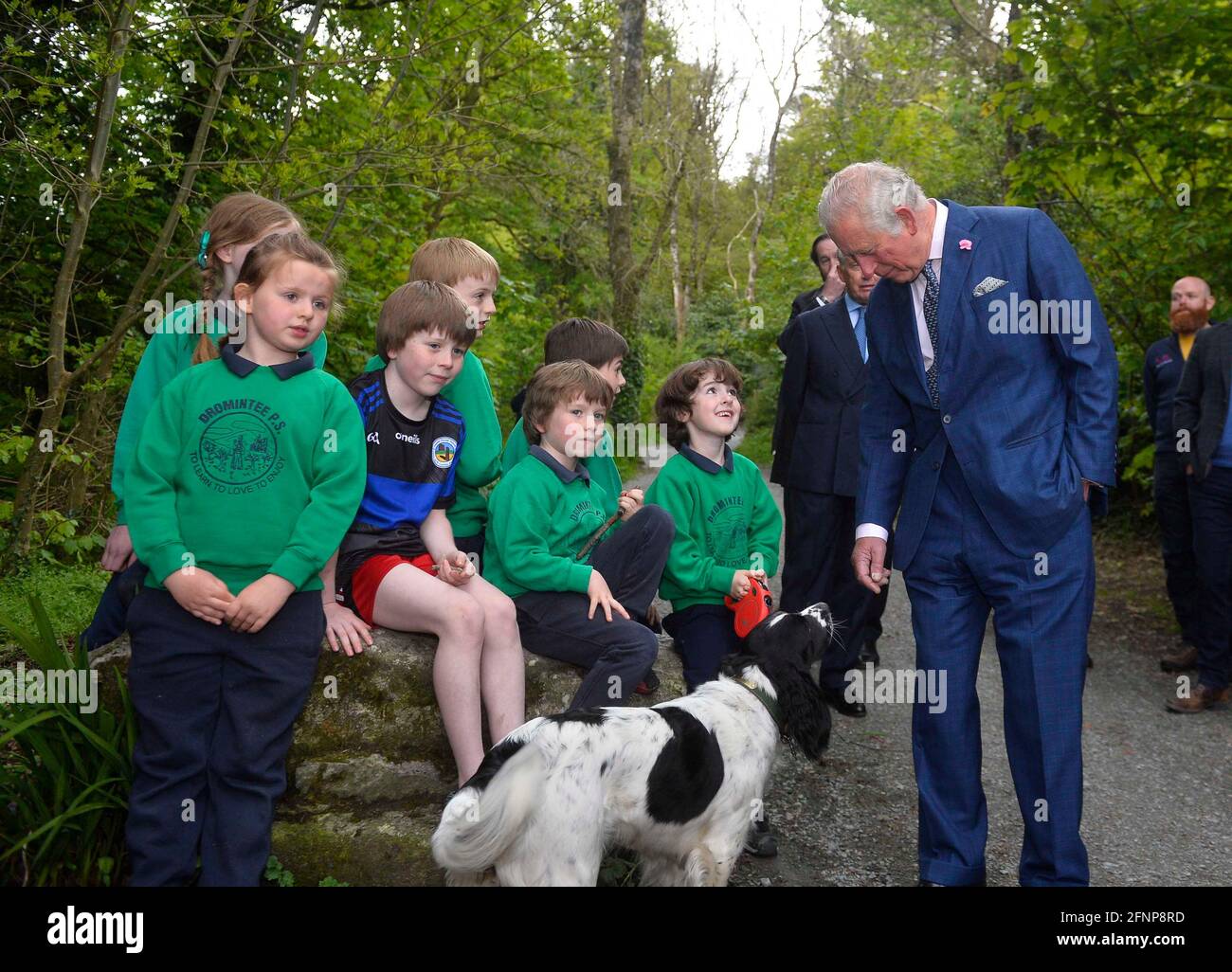 Prince charles spaniel hi-res stock photography and images - Alamy