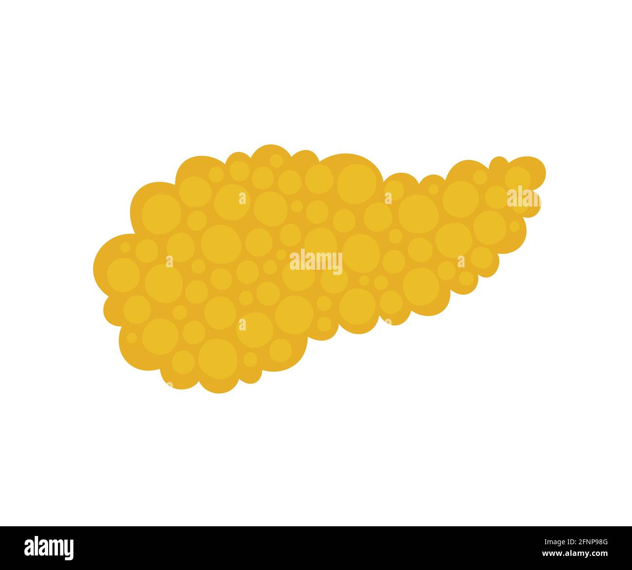Pancreas in flat style. Drawing of a healthy pancreas. Isolated vector ...