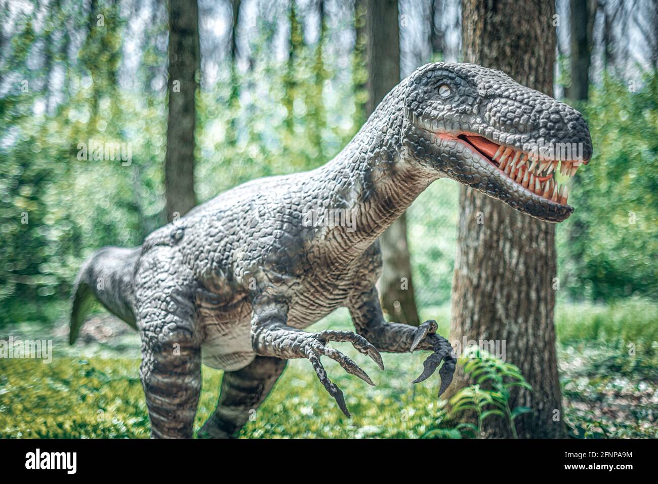 Dinosaur in the jungle Stock Photo - Alamy