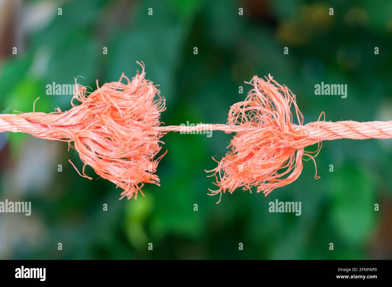 Rope about to break. The rope just hanging by a thread Stock Photo - Alamy