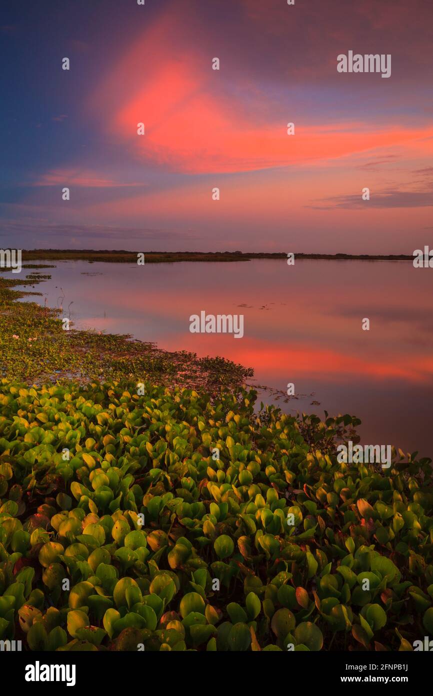 Colorful skies at sunset at the lakeside of Refugio de vida Silvestre ...