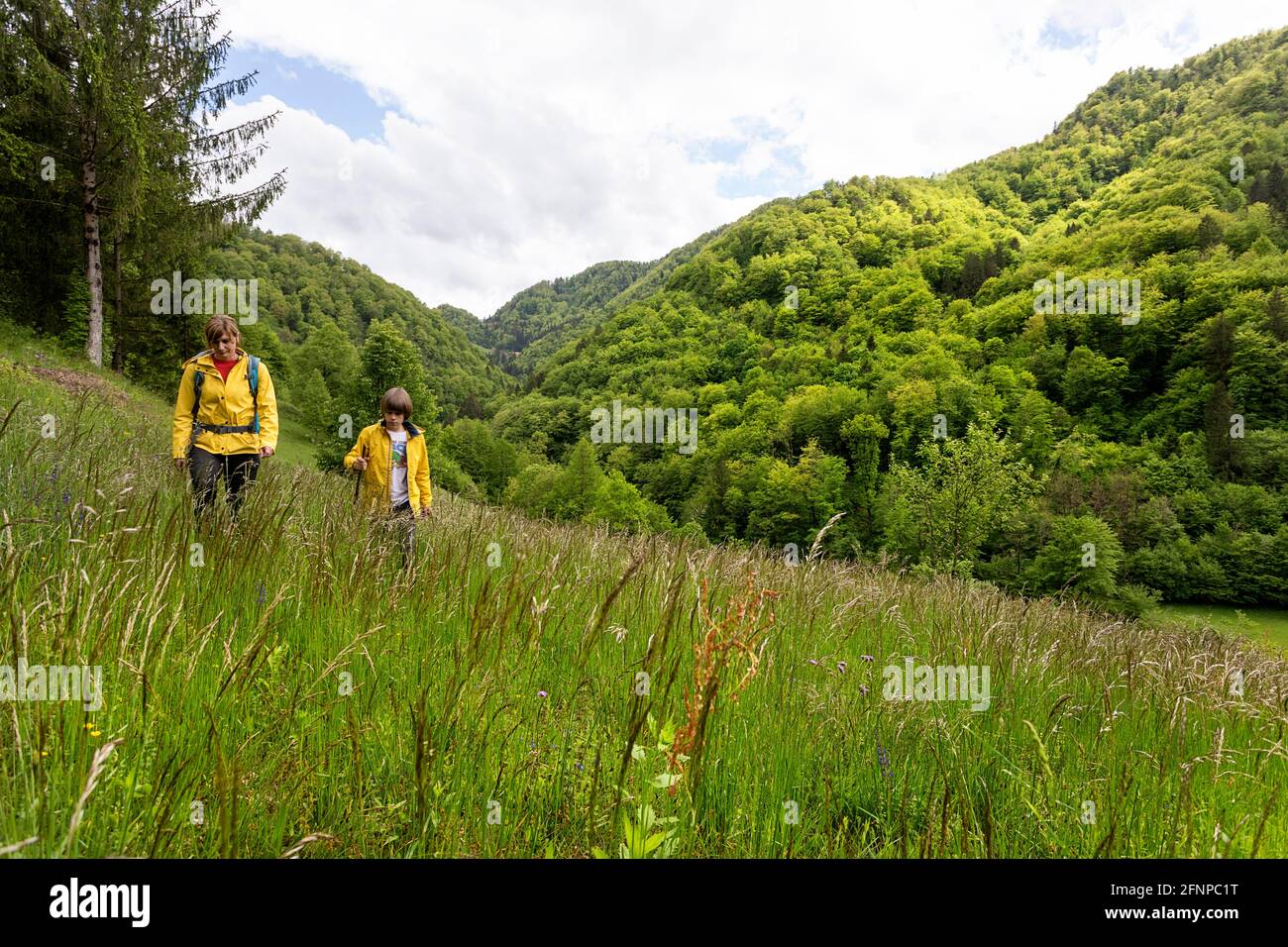 Mother and son walking trough field near Idrijca river, Slovenia Stock ...