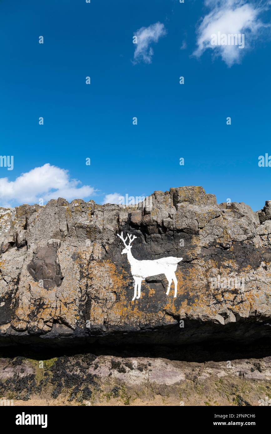 The painted white stag at Stag Rocks, Bamburgh beach, Northumberland ...
