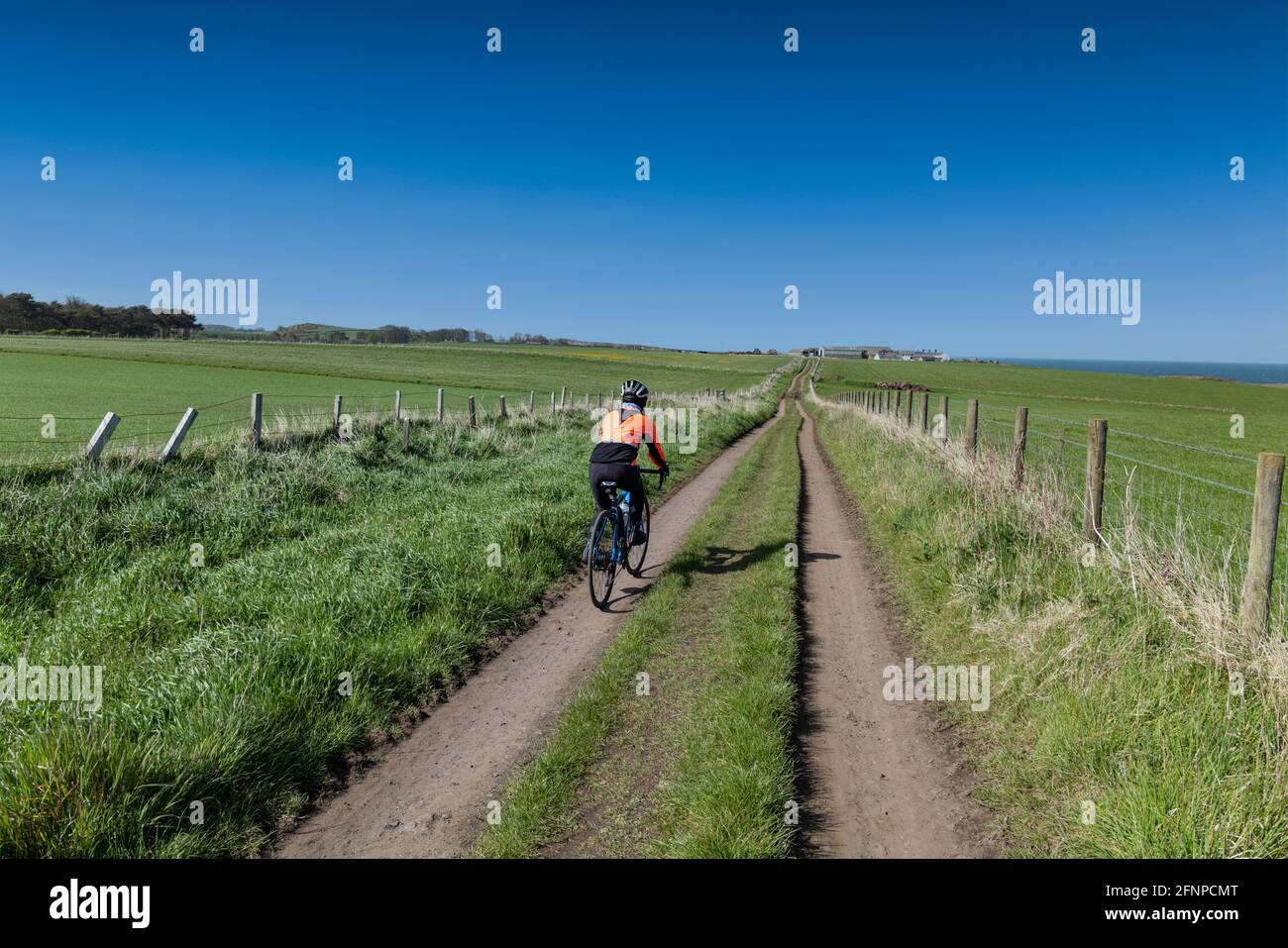 Cycling on Sustrans national cycle network route 1, close to Craster ...