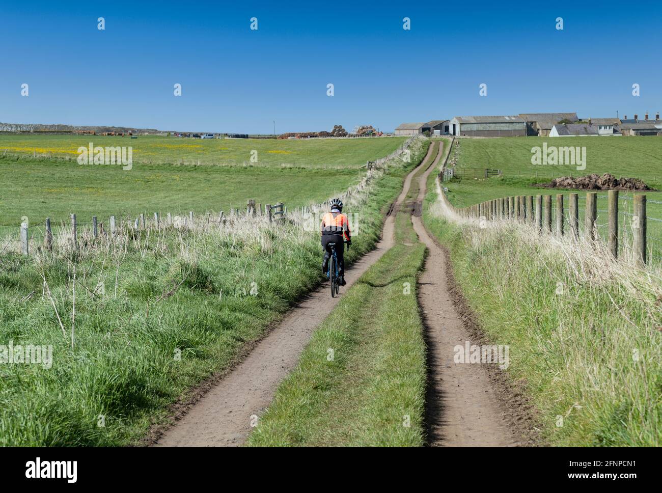 Cycling on Sustrans national cycle network route 1, close to Craster ...