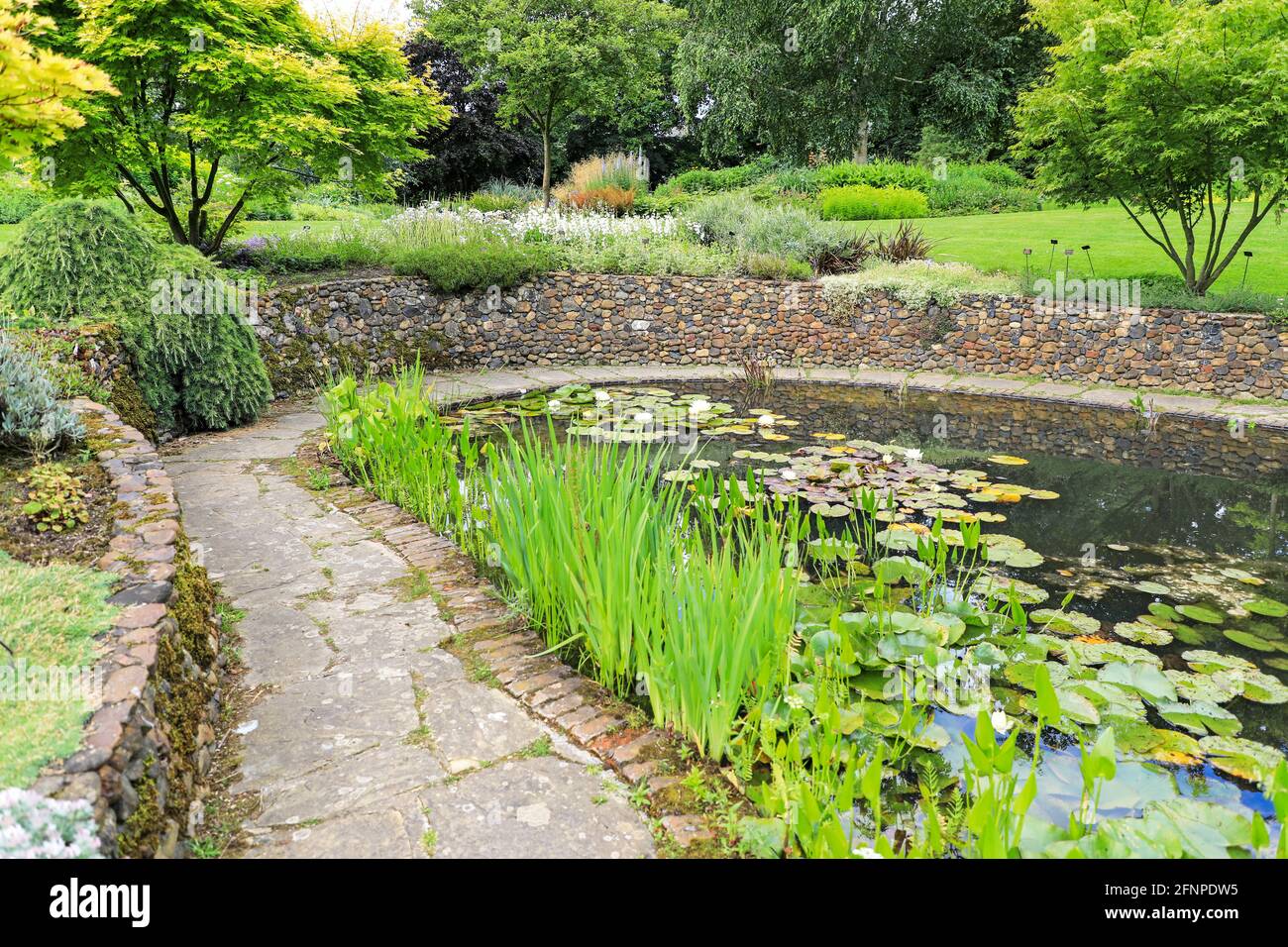 A pond or pool at Bressingham Steam & Bressingham Gardens, a steam ...
