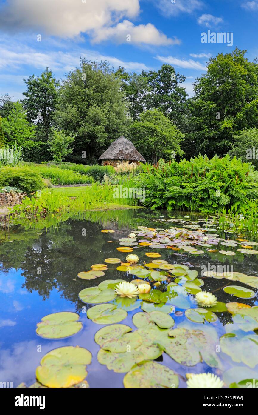 The thatched roof Dell Summer House and a pond, Bressingham Gardens, a ...