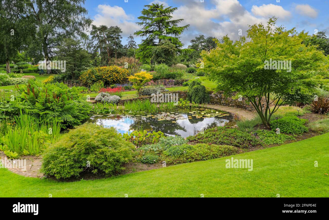 A pond or pool at Bressingham Steam & Bressingham Gardens, a steam ...
