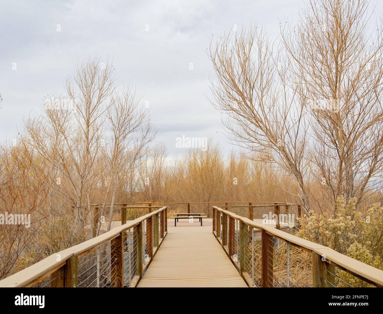 Nature landscape of Henderson Bird Viewing Preserve at Nevada Stock ...