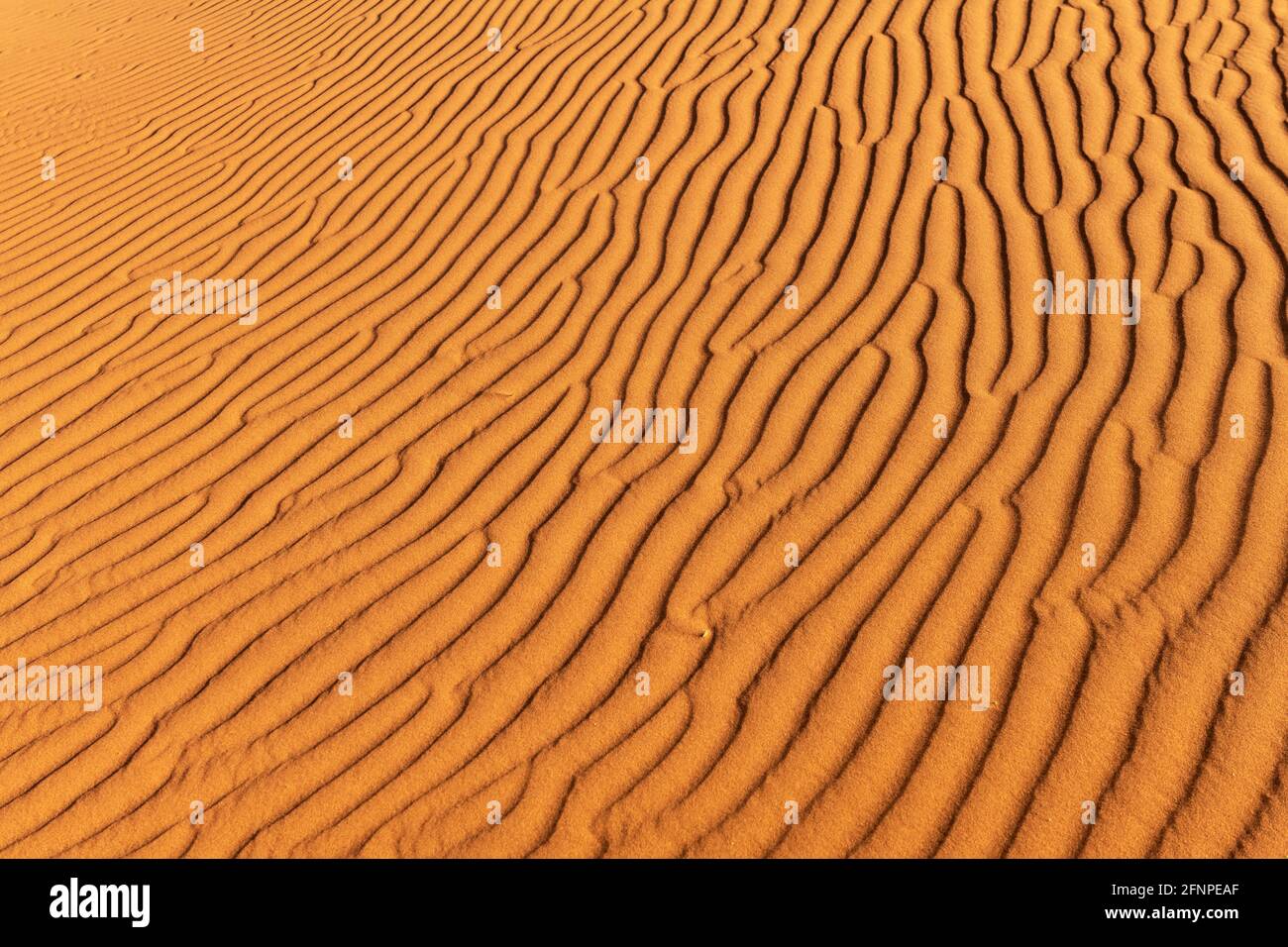 Orange desert into the sunset Stock Photo - Alamy