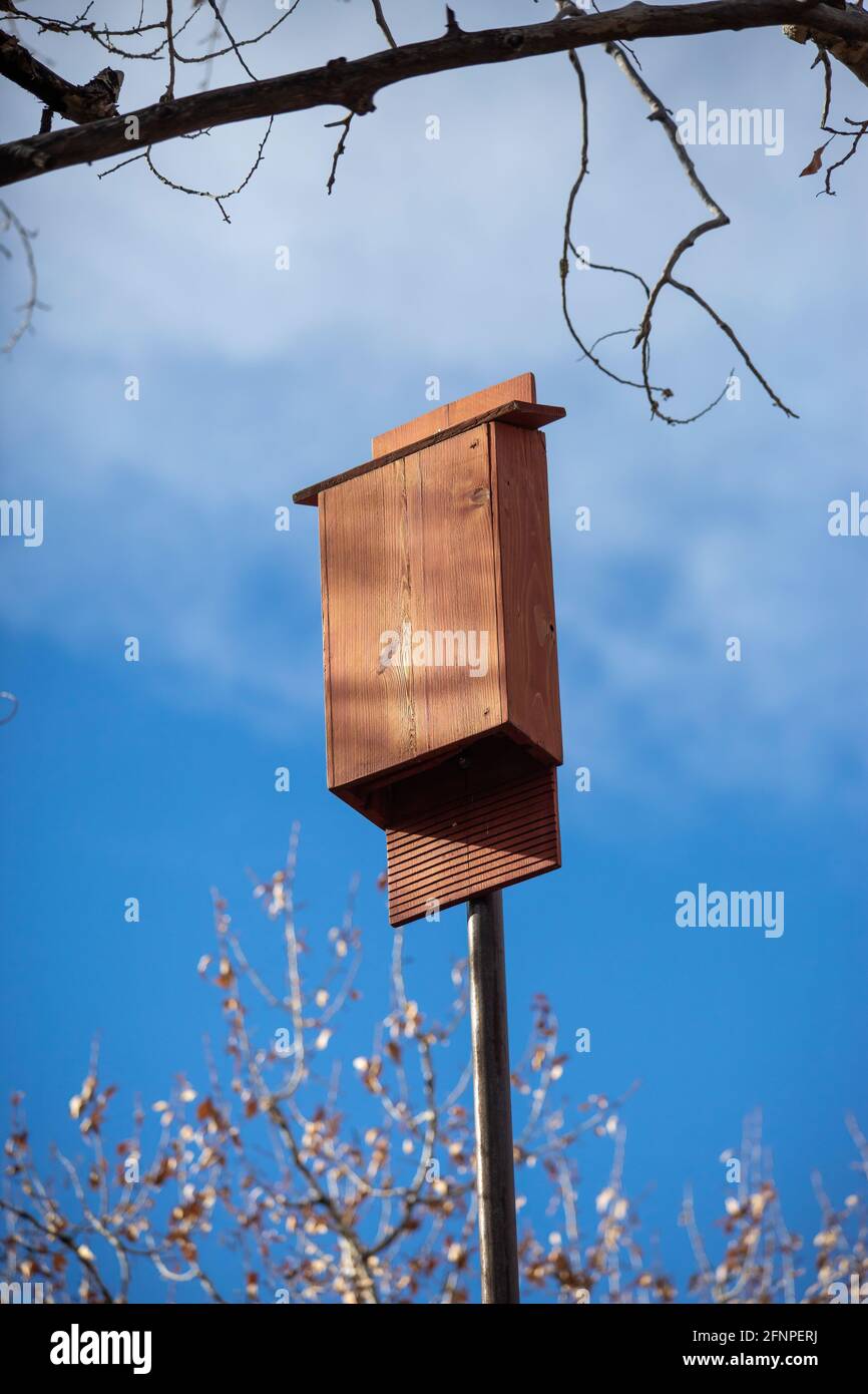 Empty box under tree hi-res stock photography and images - Alamy