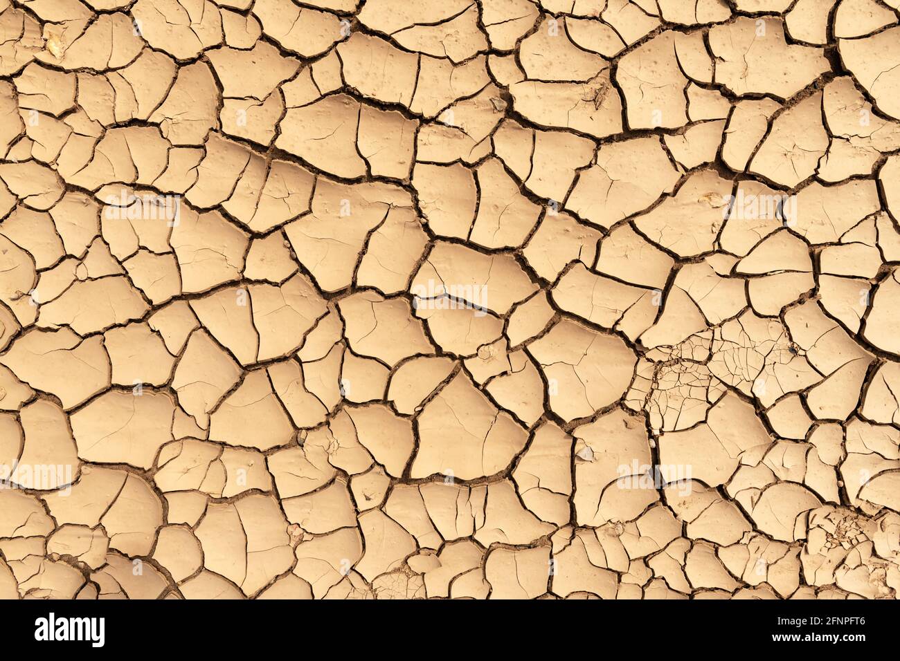 Cracked land texture close up Stock Photo - Alamy
