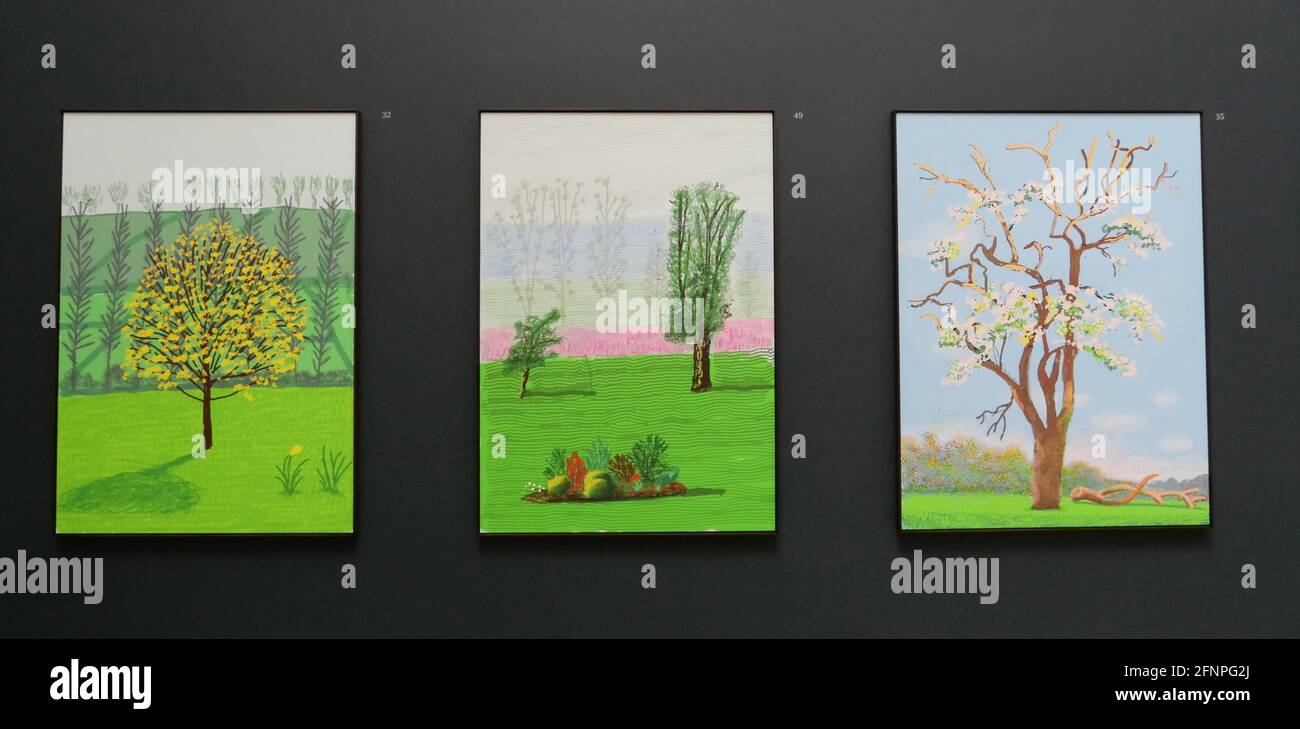 David Hockney travelled to France two years ago with the express ...