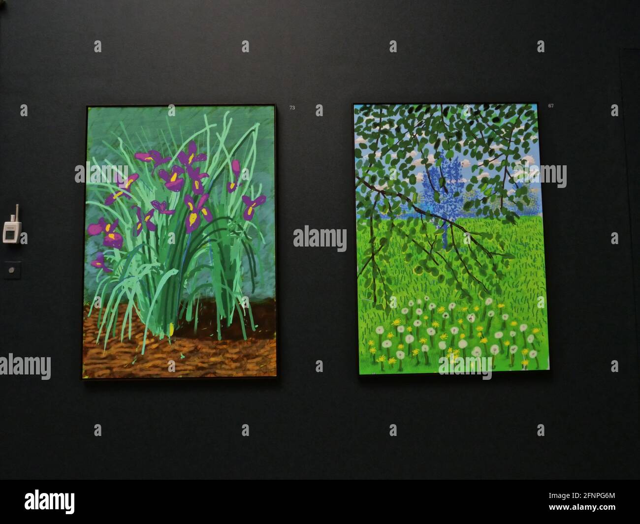 David Hockney travelled to France two years ago with the express ...