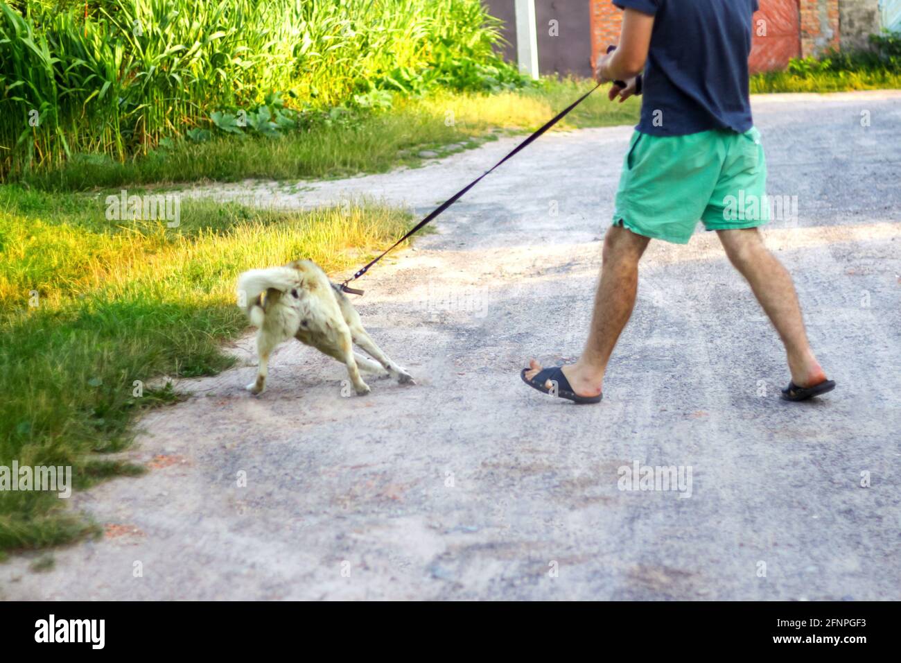 Man Walking Dog Side View