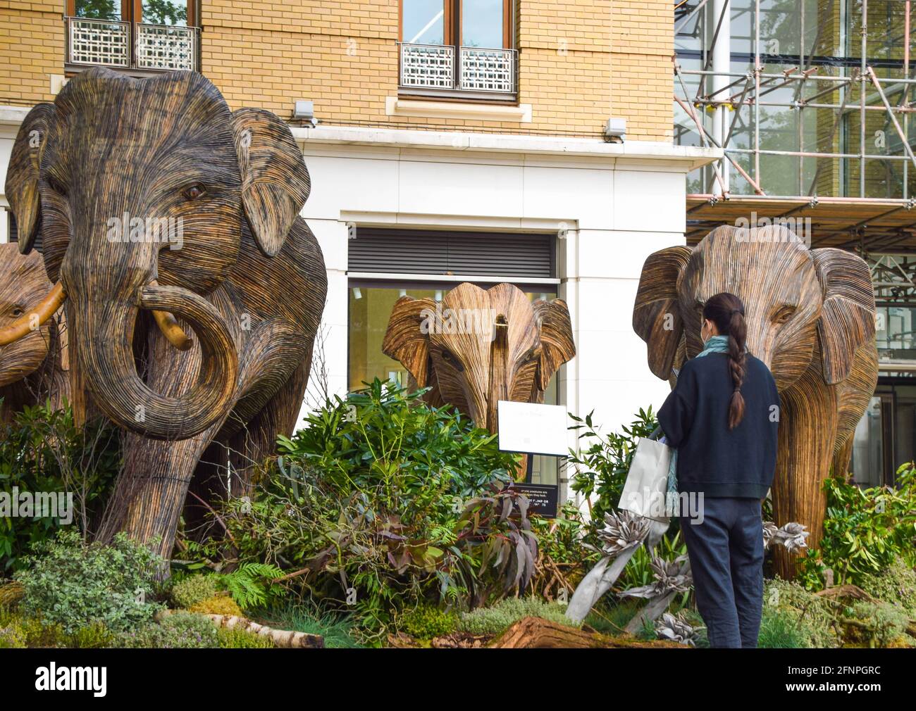 Species encroachment hi-res stock photography and images - Alamy