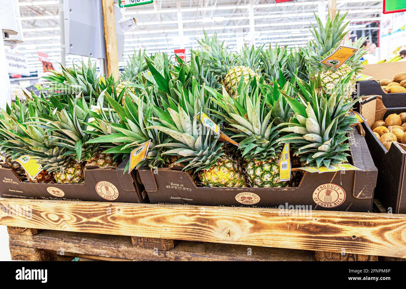 Samara, Russia - May 15, 2021: Fresh pineapple fruits are sold at the ...