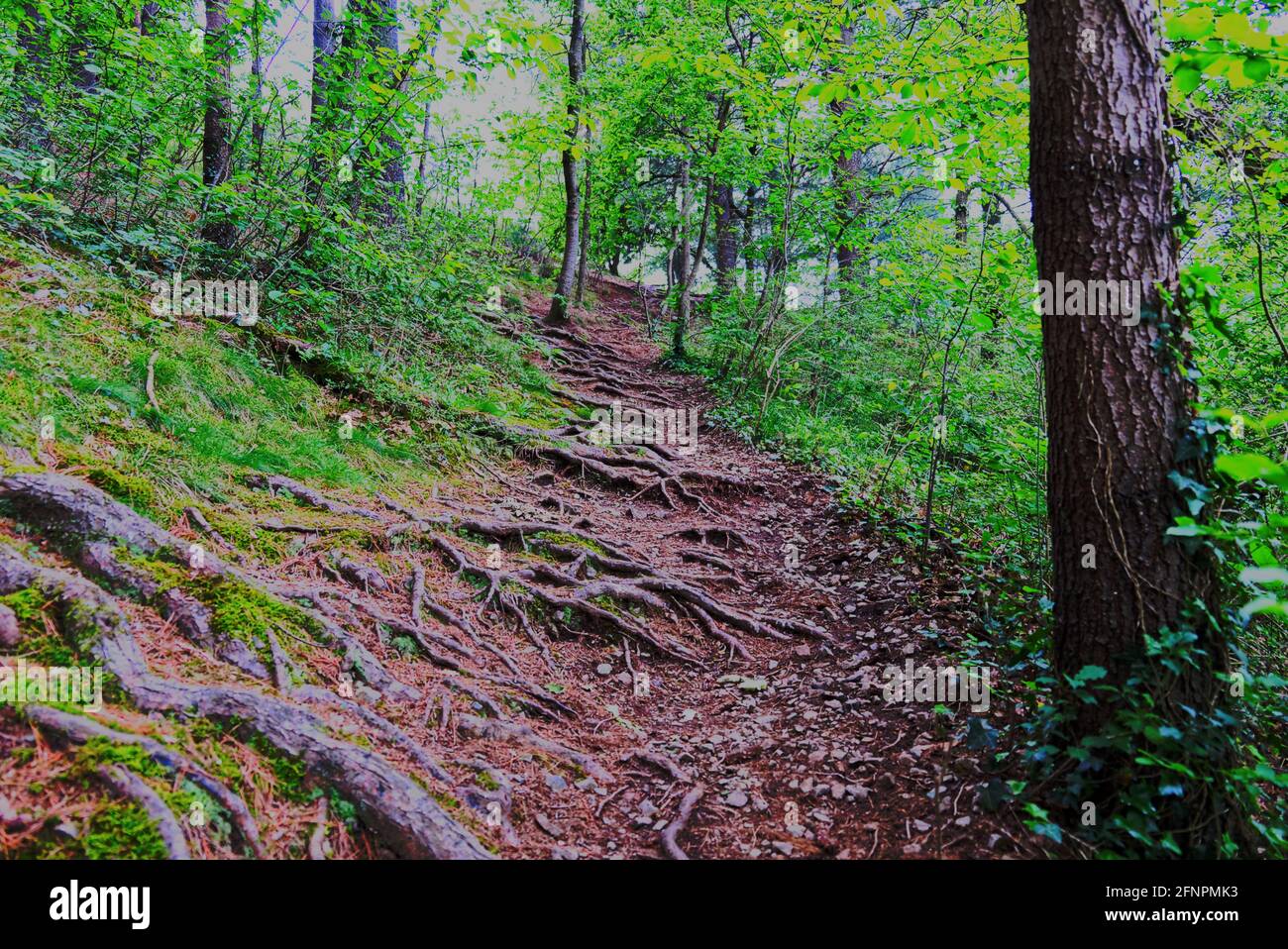 Deep pass trail hi-res stock photography and images - Alamy