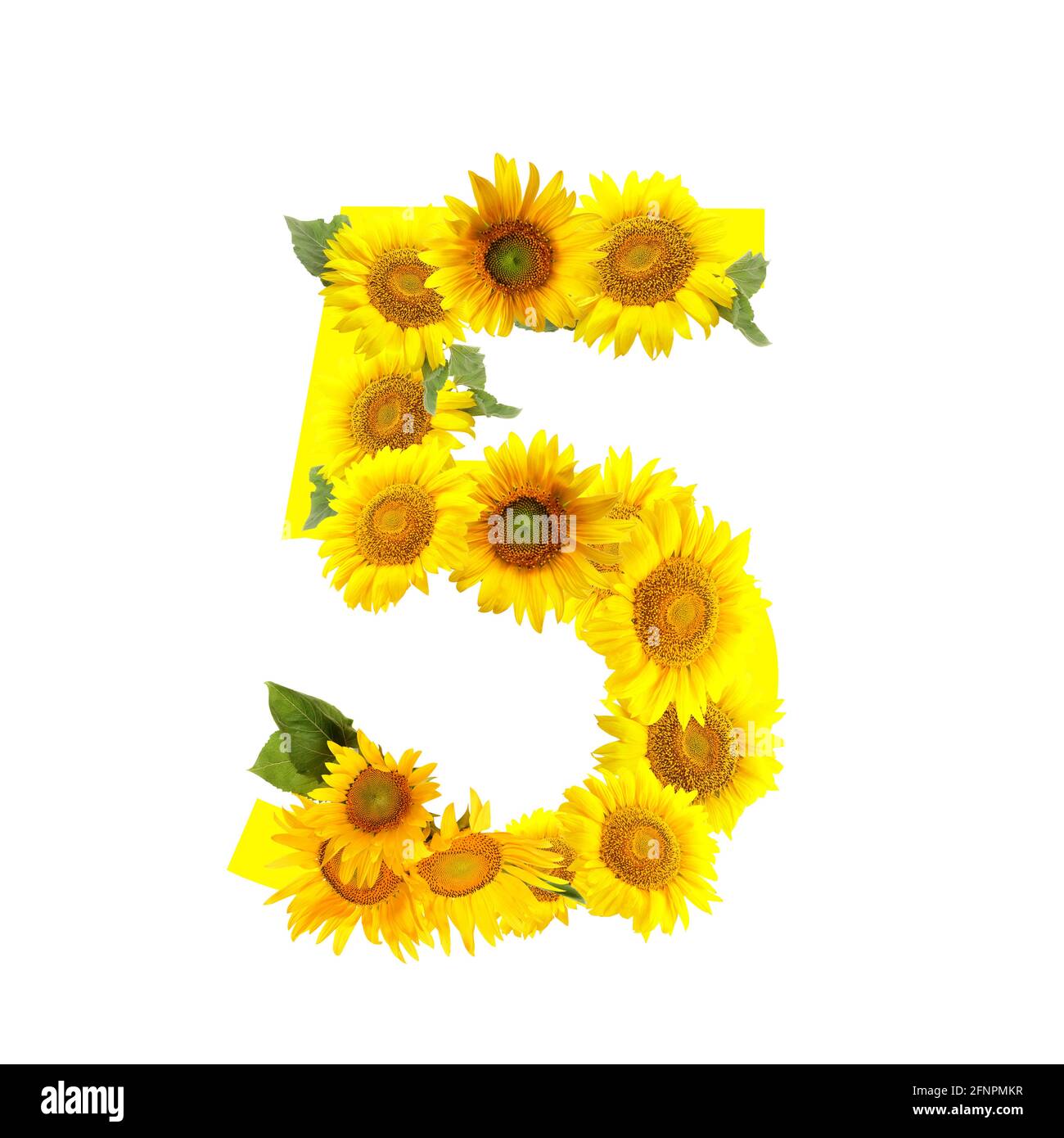 Yellow 5 petals Cut Out Stock Images & Pictures - Alamy
