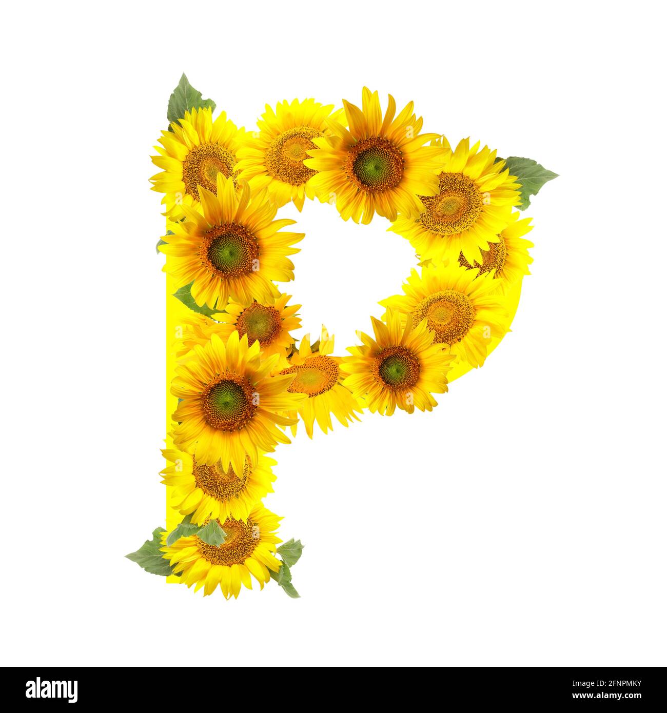 Beautiful Letter P