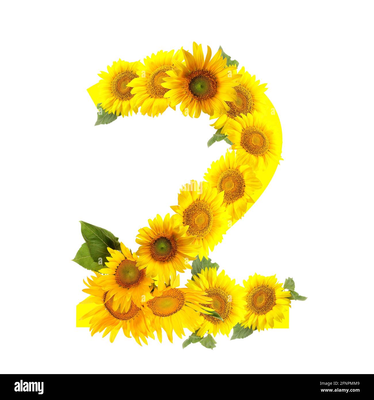 Figure 2 made of beautiful sunflowers on white background Stock Photo ...