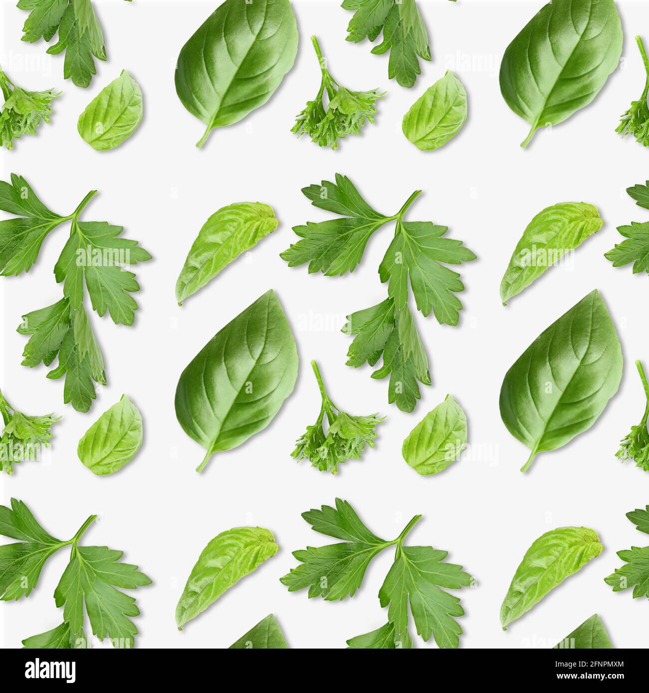 Set of fresh herbs on white background Stock Photo - Alamy