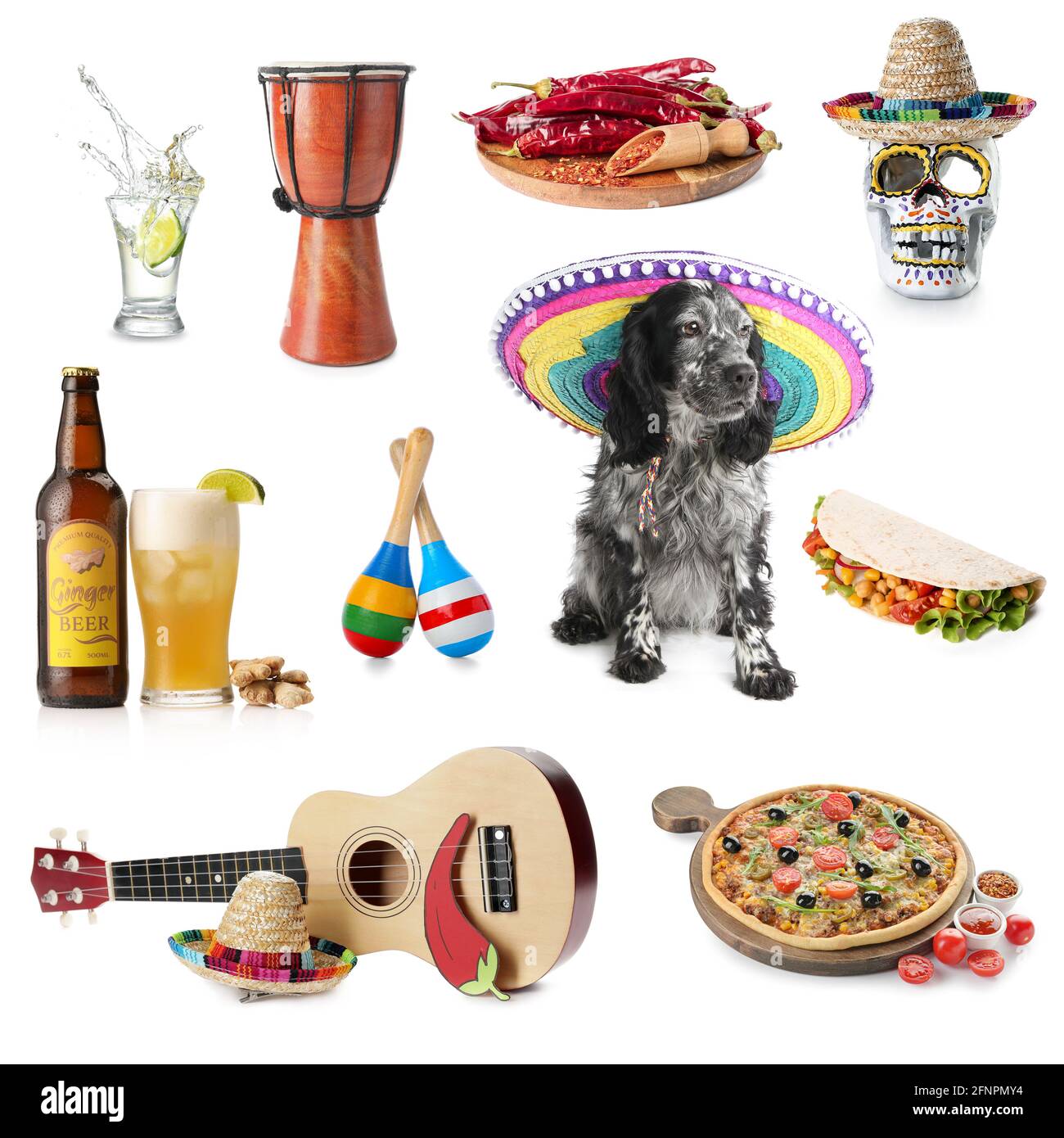 Cute dog with symbols of Mexico on white background Stock Photo - Alamy