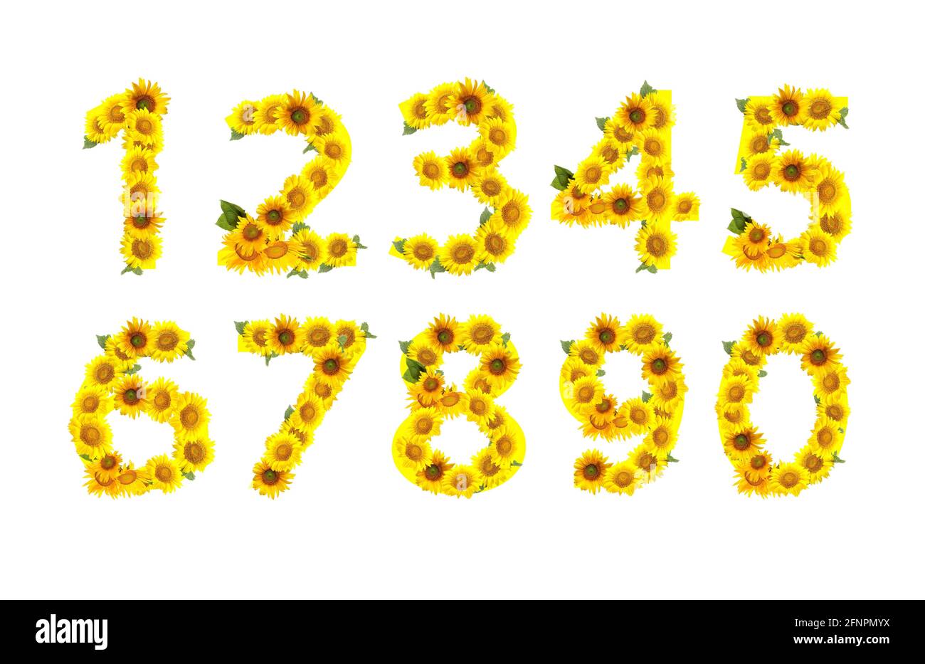 Numbers made of beautiful sunflowers on white background Stock Photo ...